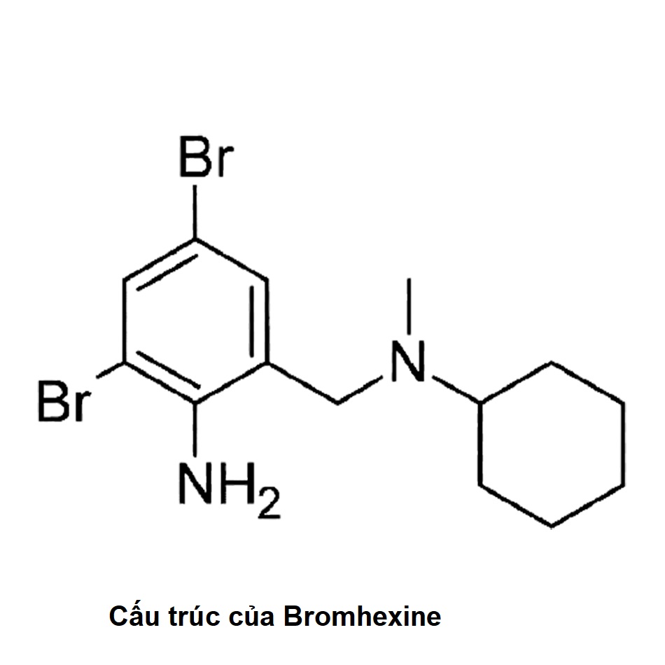 Bromhexine là gì? Tác dụng như thế nào? Và cần lưu ý gì khi sử dụng ...