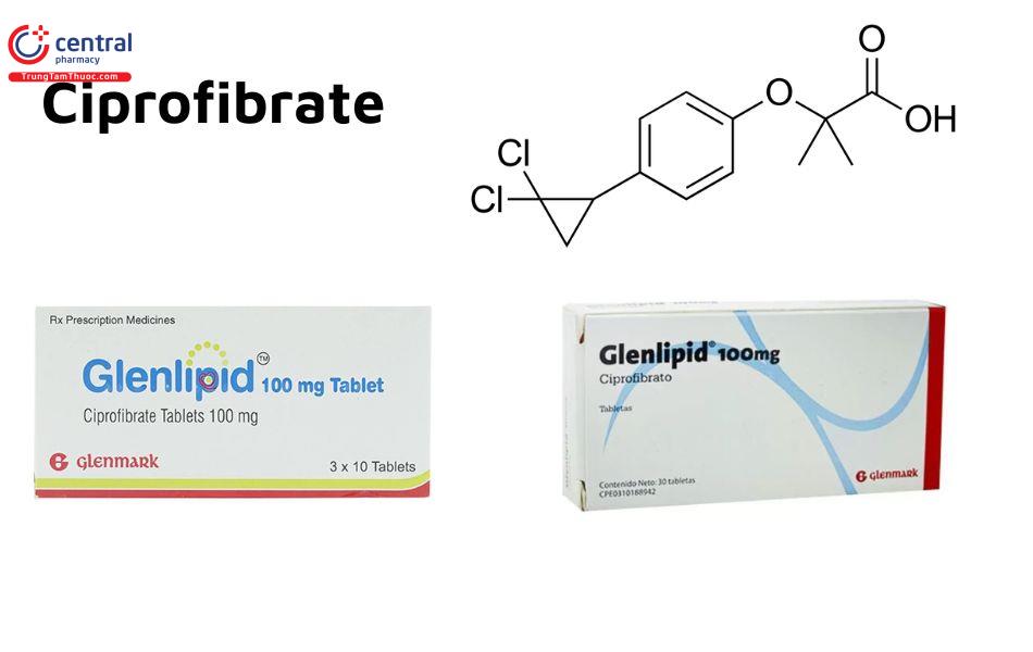 Ciprofibrate - Thuốc có tác dụng làm hạ cholesterol máu