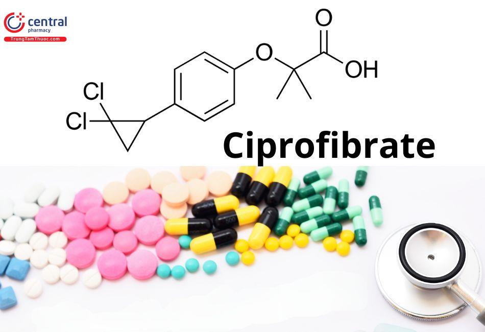 Ciprofibrate - Thuốc có tác dụng làm hạ cholesterol máu