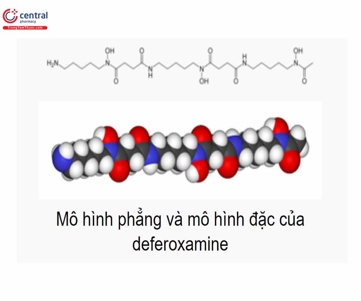Deferoxamine - Thuốc giải độc do ngộ độc sắt, nhôm