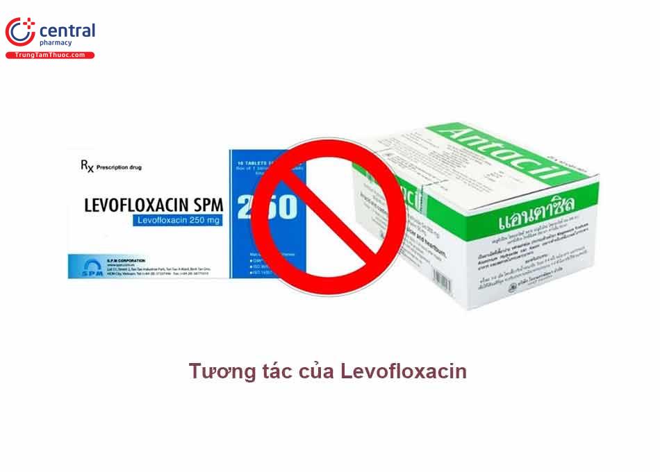 Những thông tin liên quan đến kháng sinh Levofloxacin trong điều trị ...
