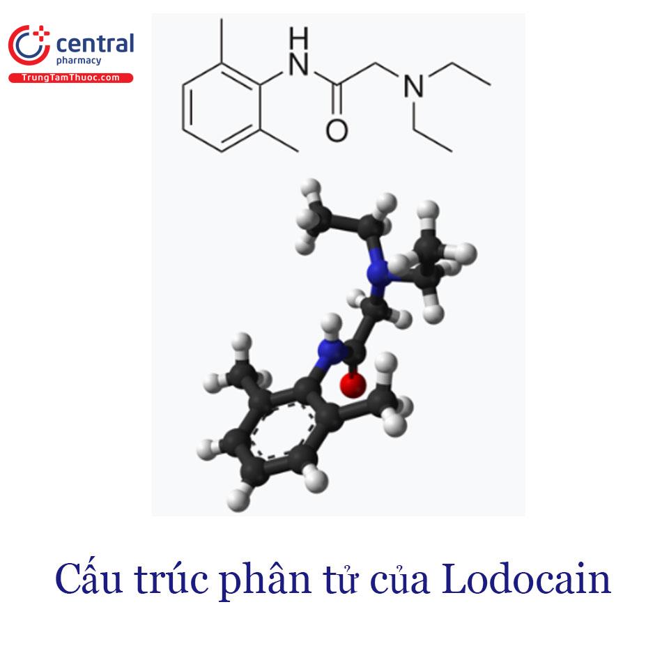 Lidocaine - Thuốc gây tê cục bộ và chống loạn nhịp