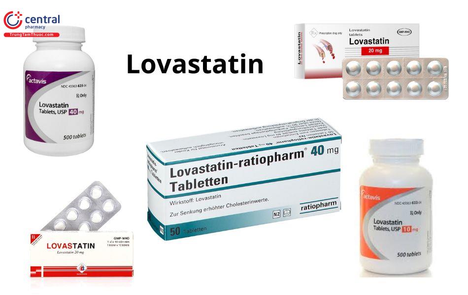 Lovastatin - Statin có tác dụng giảm Cholesterol - Dược thư quốc gia ...