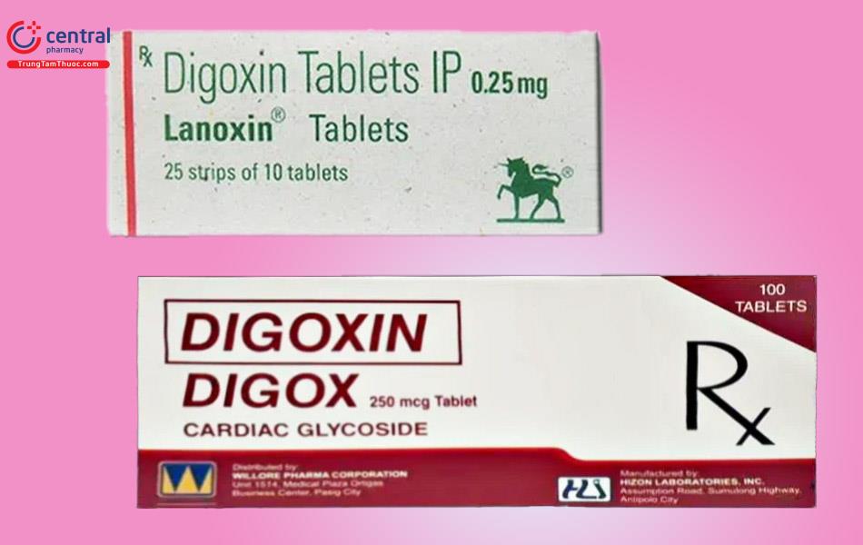 Digoxin - một loại thuốc điều trị suy tim, loạn nhịp nhanh thất