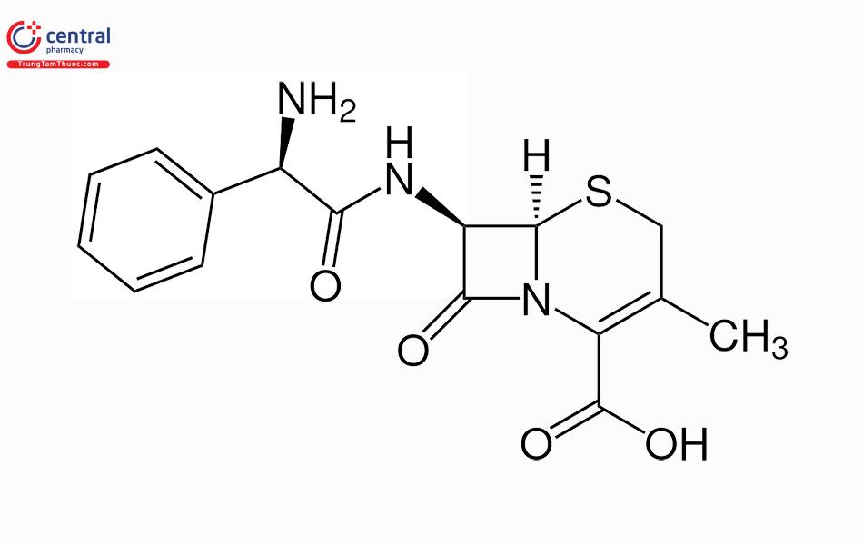 Cephalexin: Những điều cần biết về kháng sinh Cephalosporin thế hệ 1