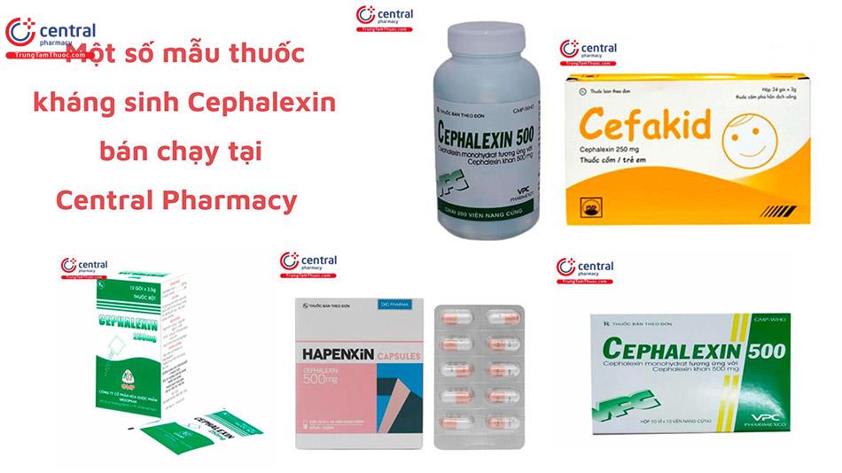 Cephalexin: Những điều cần biết về kháng sinh Cephalosporin thế hệ 1