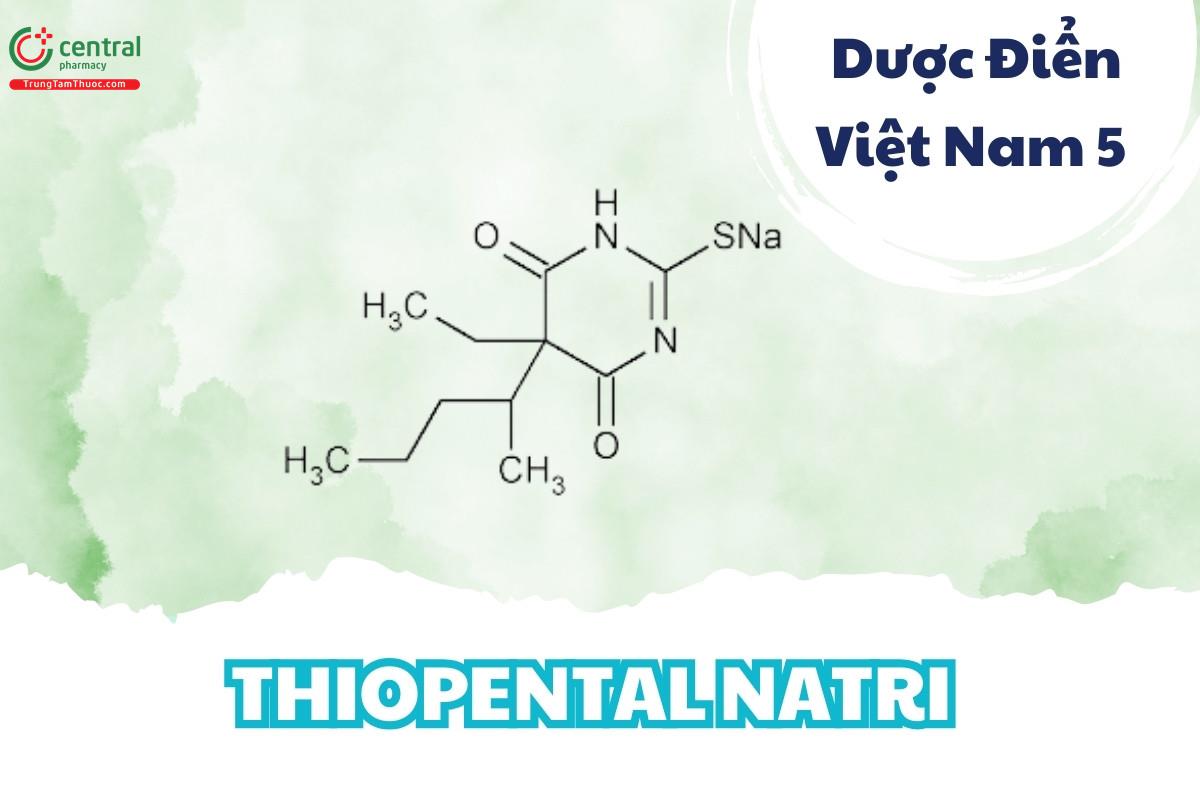 Định tính, định lượng và tạp chất liên quan của Thiopental natri - Dược ...