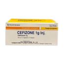 Thuốc Cefizone 1g Inj.: Cách dùng - liều dùng, lưu ý khi dùng