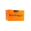 Normagut 250mg Sachet hỗ trợ cải thiện tiêu hóa, giảm khó tiêu, đầy bụng