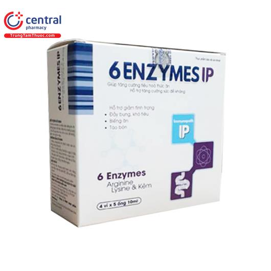 [CHÍNH HÃNG] Thuốc 6 Enzymes IP 10ml hỗ trợ tiêu hóa khỏe mạnh