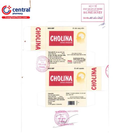 Thuốc Cholina 400mg - phục hồi chức năng sau đột quỵ, chấn thương não