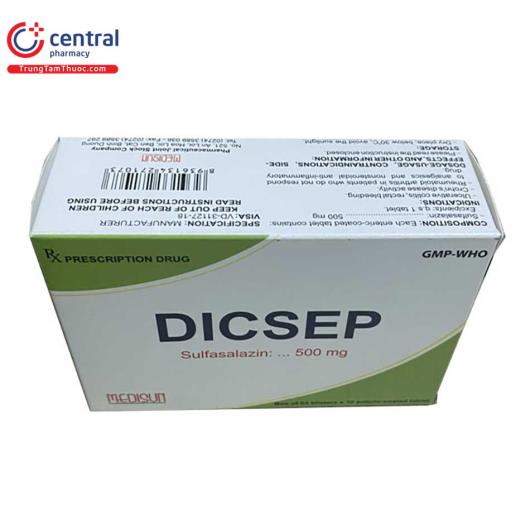 Thuốc Dicsep 500 điều trị viêm loét đại tràng, chảy máu trực tràng