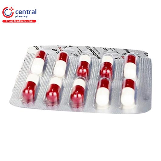 Thuốc Fenofibrate 300 A.T điều trị tăng triglycerid, cholesterol máu