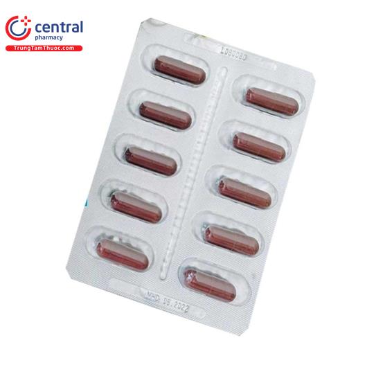 Ginkgo + B-Vitamine + Choline Doppelherz hỗ trợ tuần hoàn não