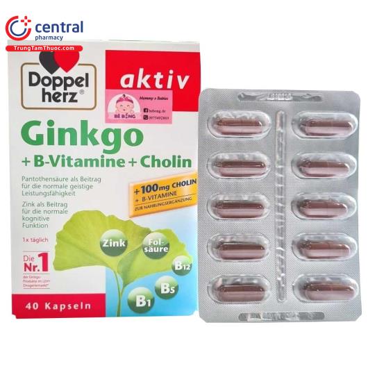 Ginkgo + B-Vitamine + Choline Doppelherz hỗ trợ tuần hoàn não