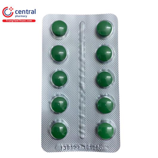 Thuốc Gintana 120 (Ginkgo biloba 120mg): tác dụng, liều dùng