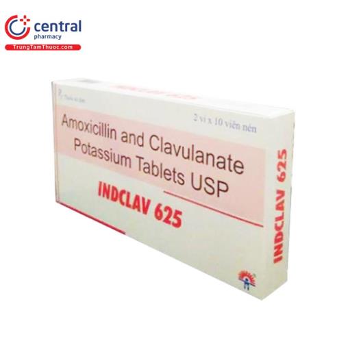 Thuốc kháng sinh Indclav 625: Tác dụng, liều dùng và giá bán