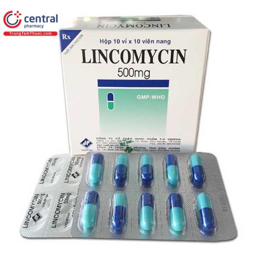 [CHÍNH HÃNG] Thuốc Lincomycin 500mg Vidipha - Cách sử dụng hiệu quả