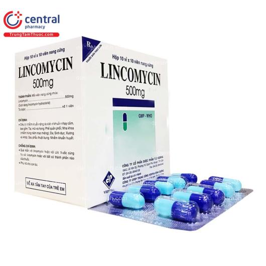 [CHÍNH HÃNG] Thuốc Lincomycin 500mg Vidipha - Cách sử dụng hiệu quả