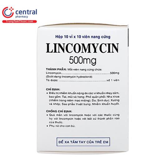 [CHÍNH HÃNG] Thuốc Lincomycin 500mg Vidipha - Cách sử dụng hiệu quả