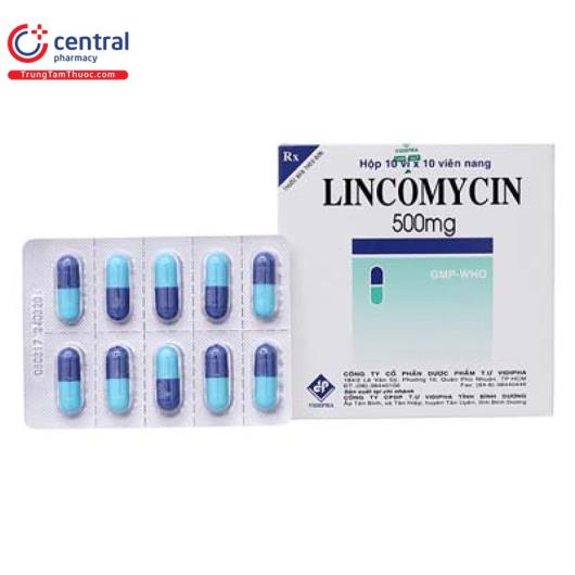 [CHÍNH HÃNG] Thuốc Lincomycin 500mg Vidipha - Cách sử dụng hiệu quả