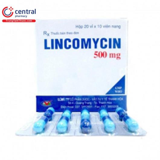Thuốc Lincomycin 500mg Domesco: Tác dụng - Liều dùng và Cách dùng