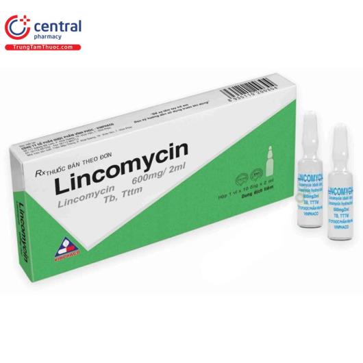 Thuốc Lincomycin 600mg/2ml Vinphaco: tác dụng và cách dùng