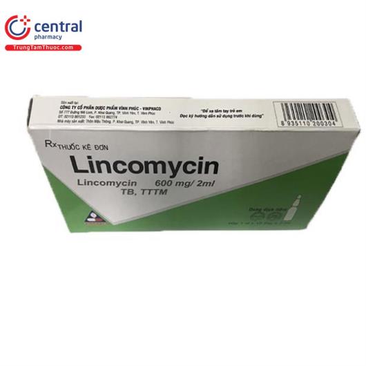 Thuốc Lincomycin 600mg/2ml Vinphaco: tác dụng và cách dùng