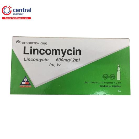 Thuốc Lincomycin 600mg/2ml Vinphaco: tác dụng và cách dùng