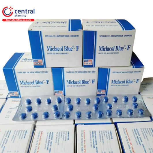 Thuốc Miclacol Blue - F hỗ trợ điều trị viêm đường tiết niệu