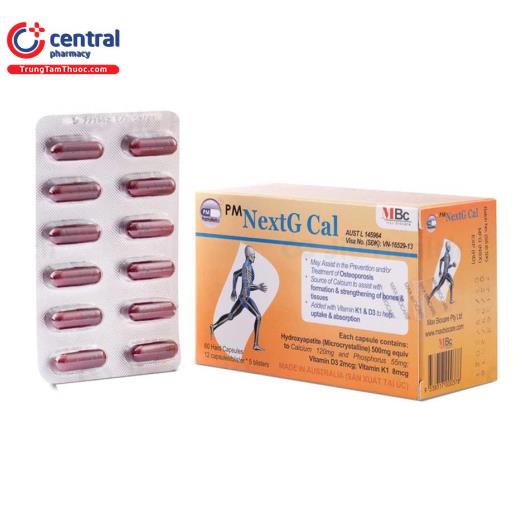 Thuốc PM NextG Cal - Bổ sung canxi cho người thiếu canxi và bà bầu