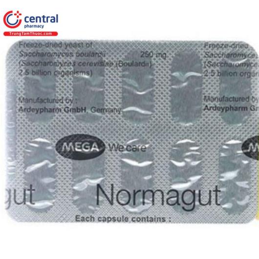 Thuốc Normagut - Thuốc phòng ngừa và điều trị tiêu chảy