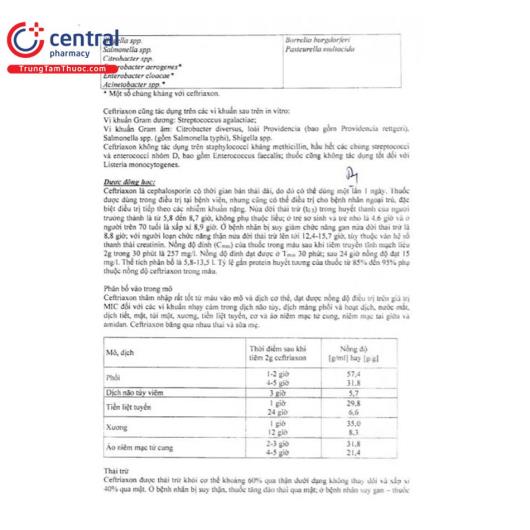 [CHÍNH HÃNG] Thuốc Poltraxon: Điều trị các bệnh nhiễm khuẩn