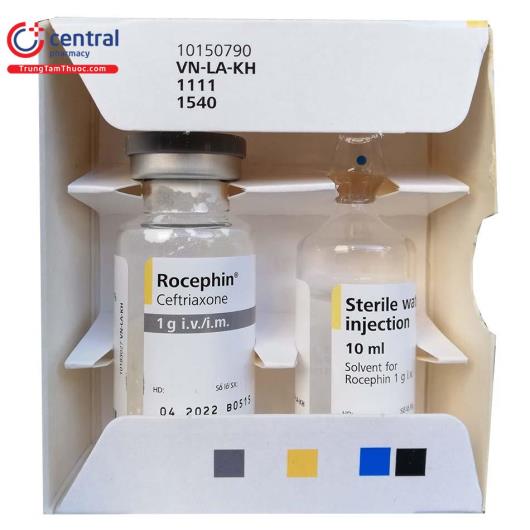 Thuốc Rocephin 1g I.V: chỉ định, cách dùng và giá bán