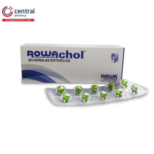 Thuốc Rowachol: Chỉ định, liều dùng và lưu ý khi sử dụng