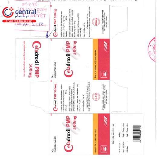 [CHÍNH HÃNG] Thuốc Cefadroxil PMP 500mg điều trị nhiễm khuẩn hiệu quả