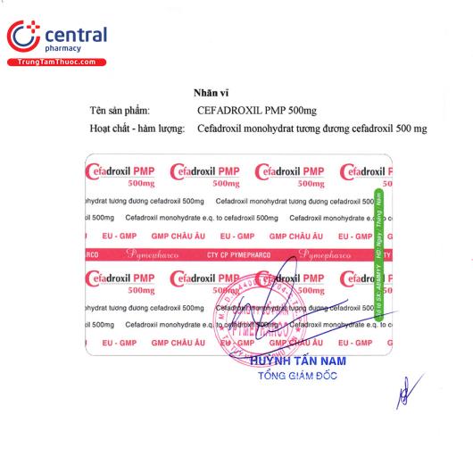 [CHÍNH HÃNG] Thuốc Cefadroxil PMP 500mg điều trị nhiễm khuẩn hiệu quả
