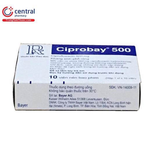 Thuốc Ciprobay 500: tác dụng, chỉ định, lưu ý khi sử dụng