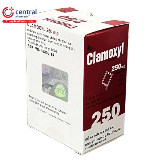 Thuốc Clamoxyl 250mg điều trị nhiễm khuẩn đường hô hấp trên-dưới