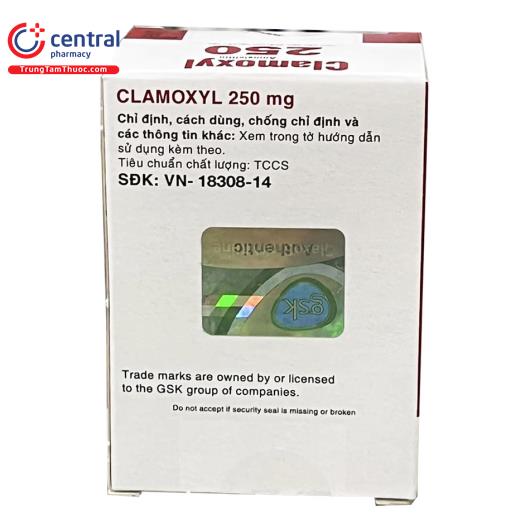 Thuốc Clamoxyl 250mg điều trị nhiễm khuẩn đường hô hấp trên-dưới
