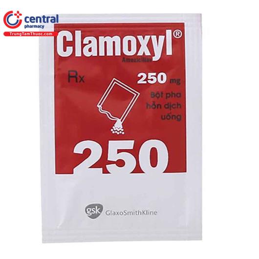 Thuốc Clamoxyl 250mg điều trị nhiễm khuẩn đường hô hấp trên-dưới