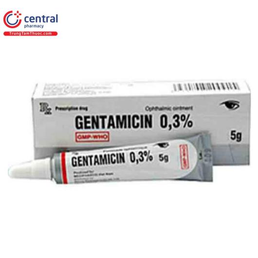 Thuốc mỡ Gentamicin: Cách dùng – liều dùng, lưu ý khi sử dụng