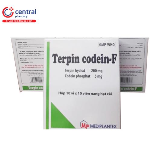 [CHÍNH HÃNG] Terpin Codein - F Mediplantex - Điều trị ho khan, ho gió