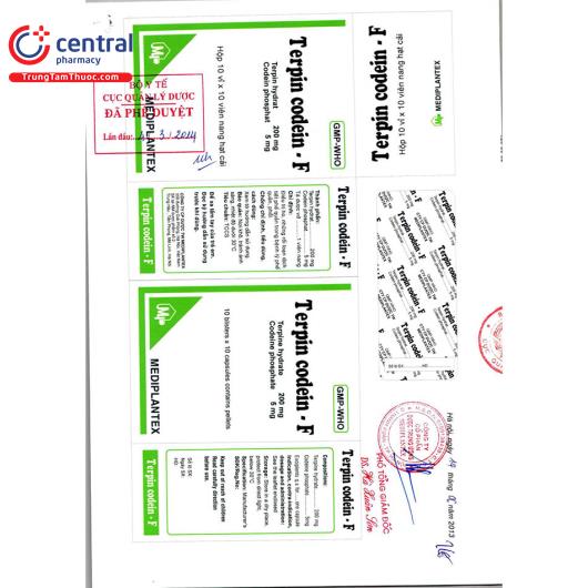 [CHÍNH HÃNG] Terpin Codein - F Mediplantex - Điều trị ho khan, ho gió