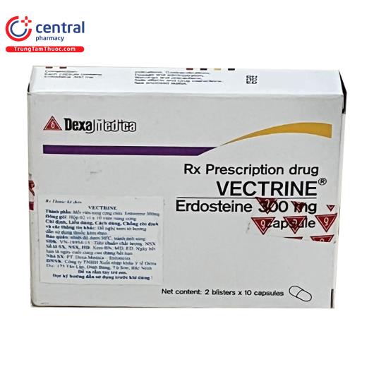[CHÍNH HÃNG] Thuốc Vectrine 300mg: điều trị hen phế quản mạn tính
