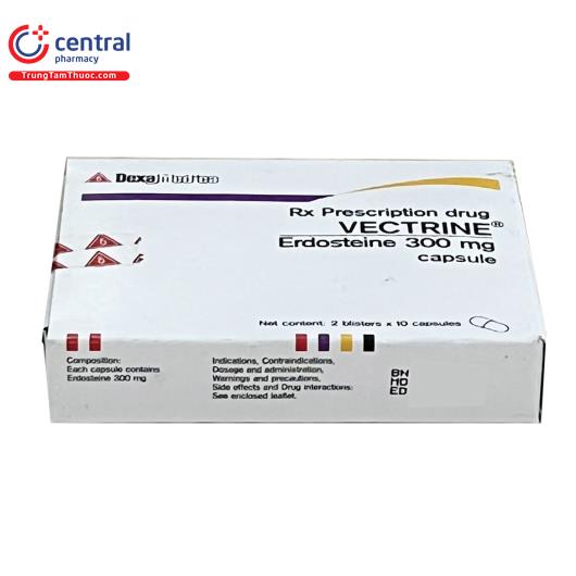 [CHÍNH HÃNG] Thuốc Vectrine 300mg: điều trị hen phế quản mạn tính