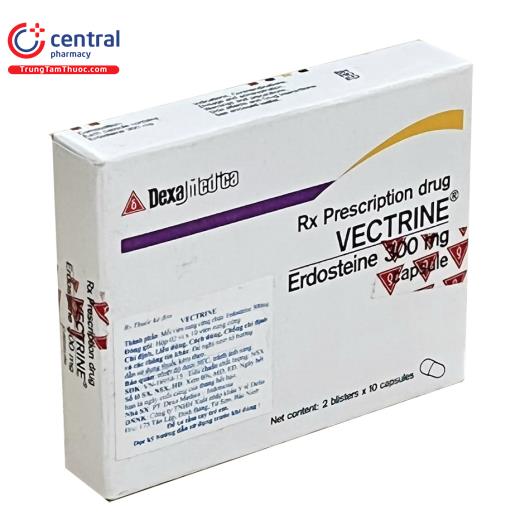 [CHÍNH HÃNG] Thuốc Vectrine 300mg: điều trị hen phế quản mạn tính