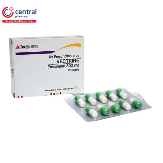 [CHÍNH HÃNG] Thuốc Vectrine 300mg: điều trị hen phế quản mạn tính