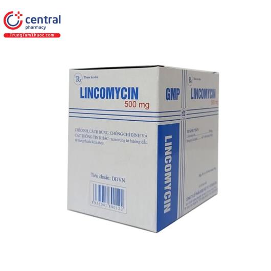 Thuốc kháng sinh Lincomycin 500mg Nghệ An: chỉ định, liều dùng