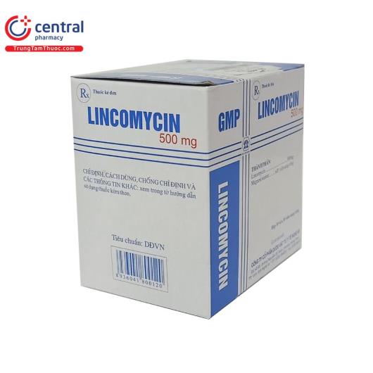 Thuốc kháng sinh Lincomycin 500mg Nghệ An: chỉ định, liều dùng